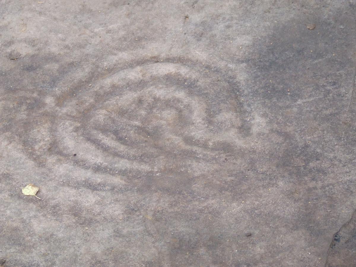 The Cochno Stone (Cup and Ring Marks / Rock Art) — The Modern Antiquarian