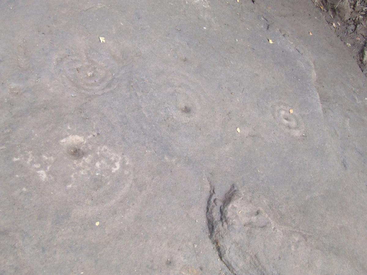 The Cochno Stone (Cup and Ring Marks / Rock Art) — The Modern Antiquarian