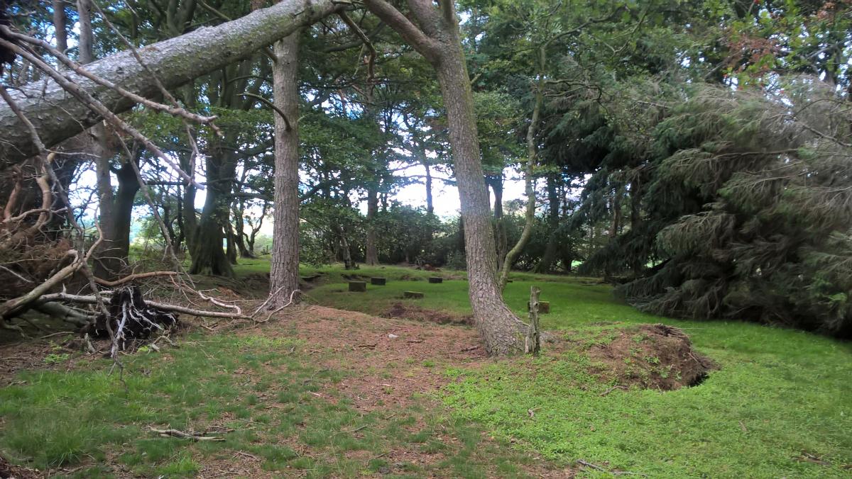 Bleasedale Circle Timber Circle – Image by carol27 — The Modern Antiquarian