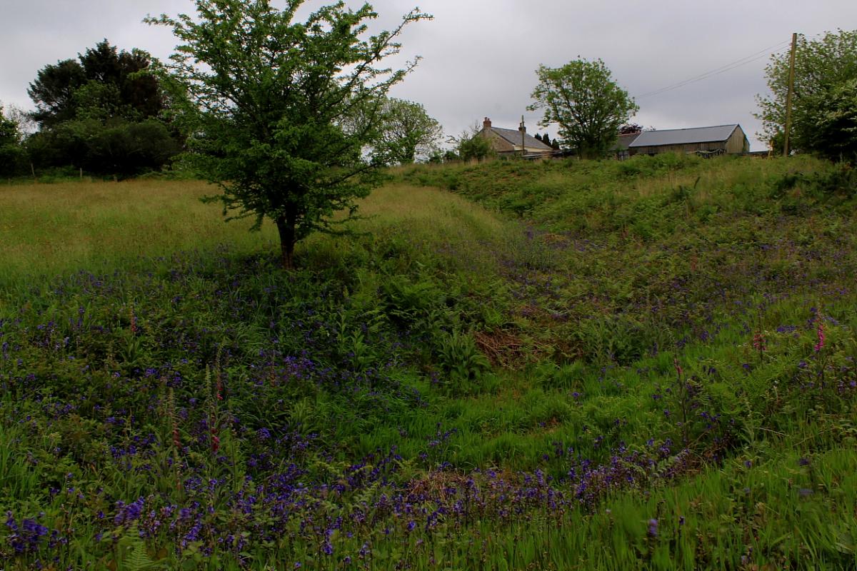 Castilly Henge — The Modern Antiquarian
