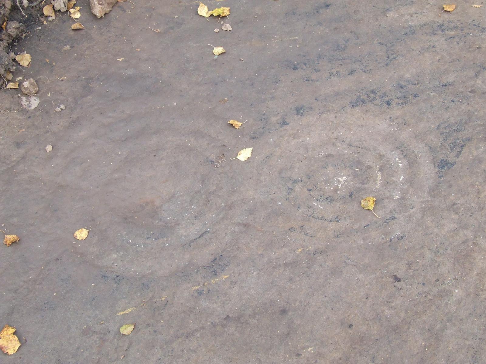 The Cochno Stone (Cup and Ring Marks / Rock Art) — The Modern Antiquarian