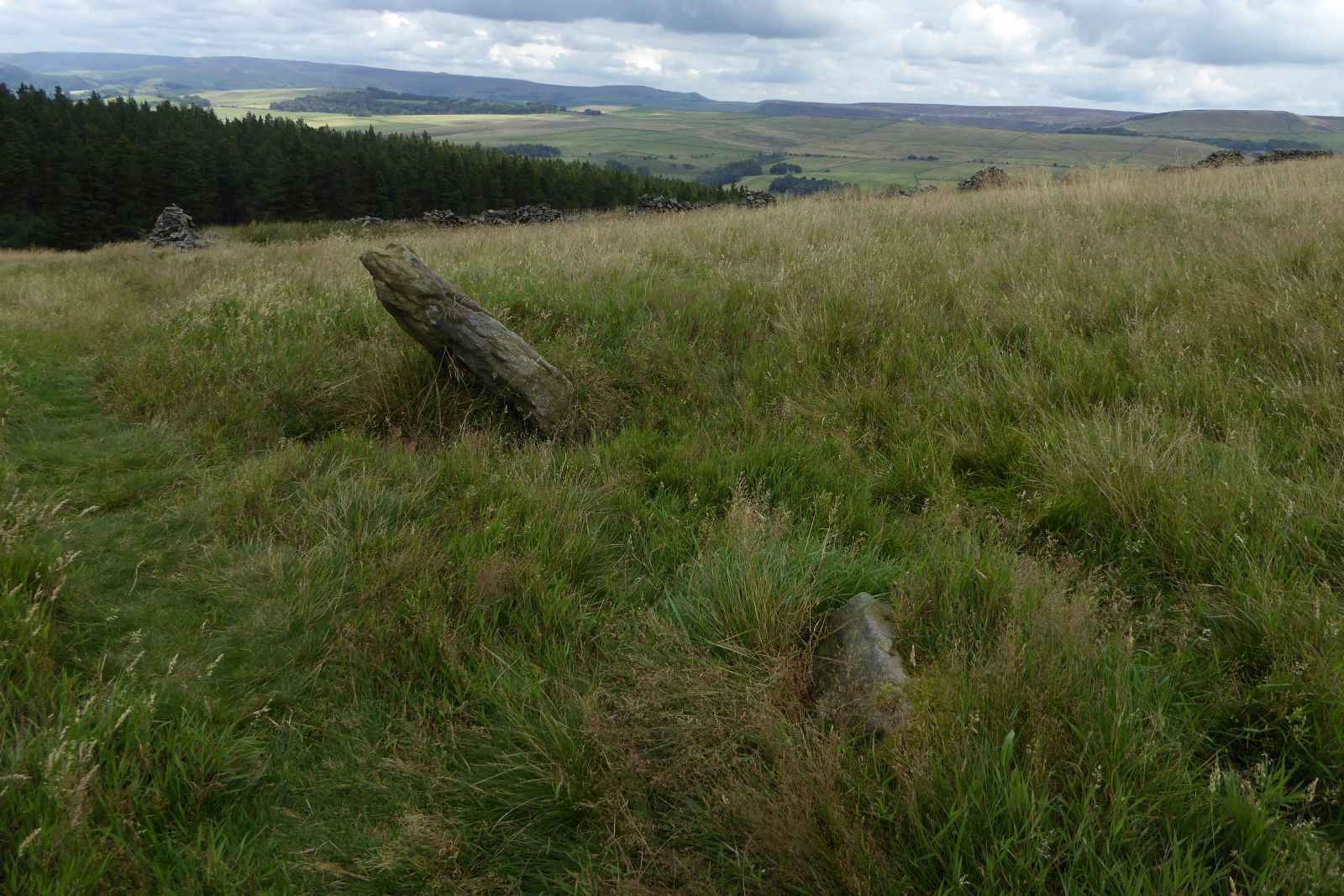 Foxlow Edge Standing Stone / Menhir – Image by thesweetcheat — The ...