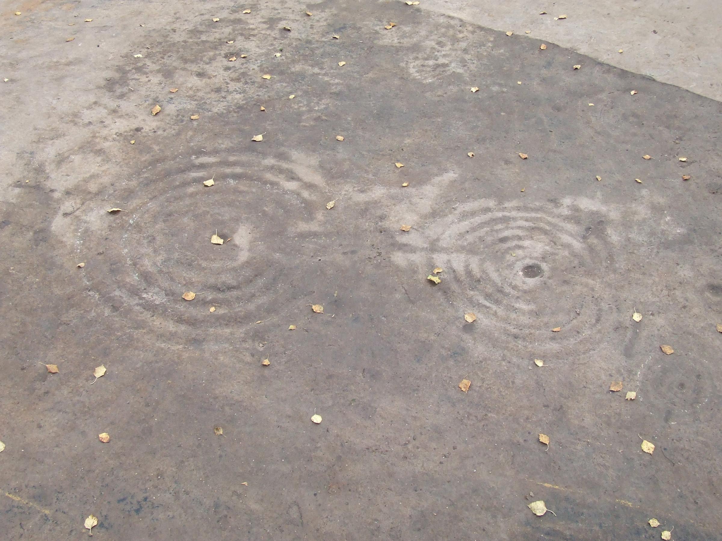 The Cochno Stone (Cup and Ring Marks / Rock Art) — The Modern Antiquarian