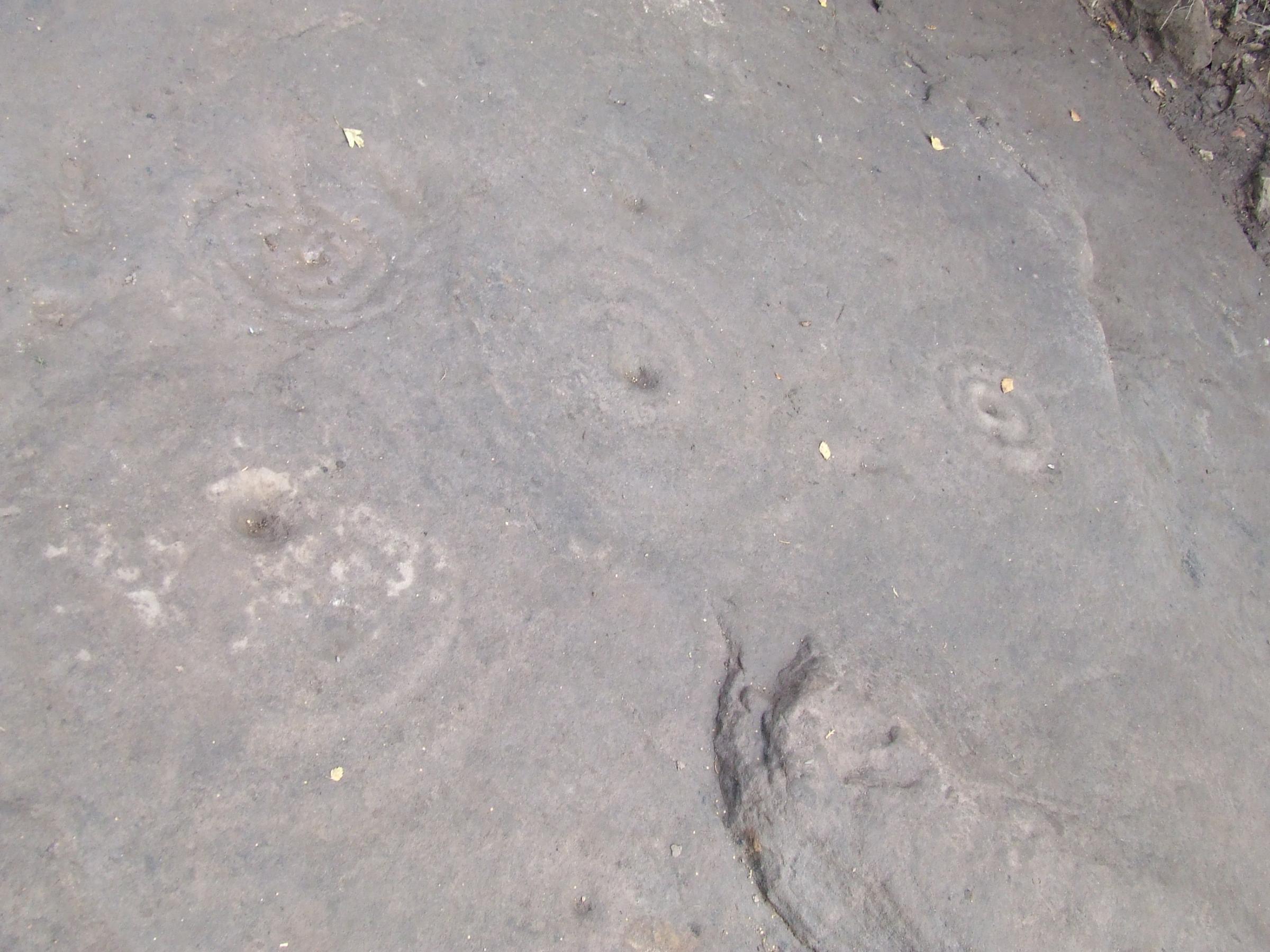 The Cochno Stone (Cup and Ring Marks / Rock Art) — The Modern Antiquarian