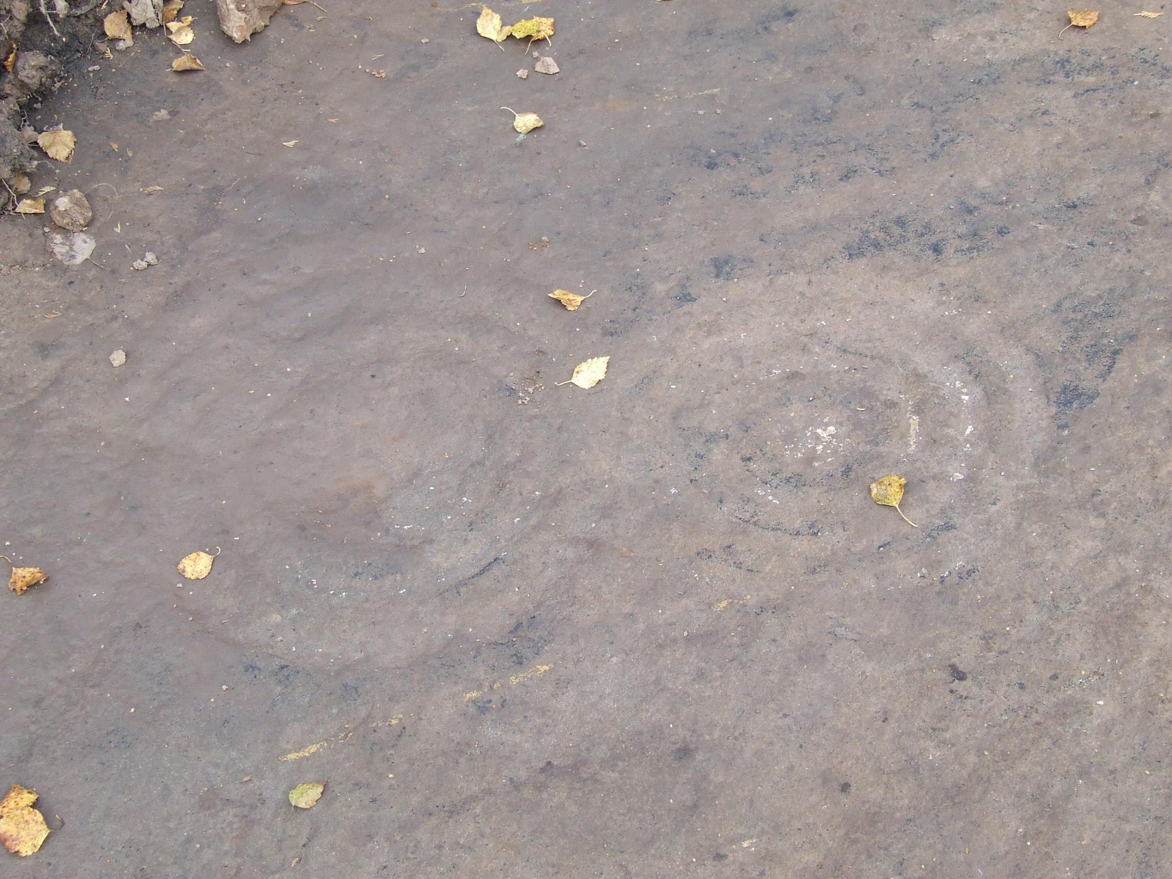 The Cochno Stone (Cup and Ring Marks / Rock Art) — The Modern Antiquarian