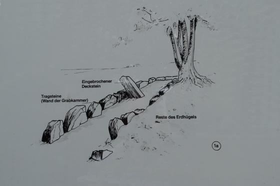 Kirchborchen I (Allee-Couverte) — The Modern Antiquarian