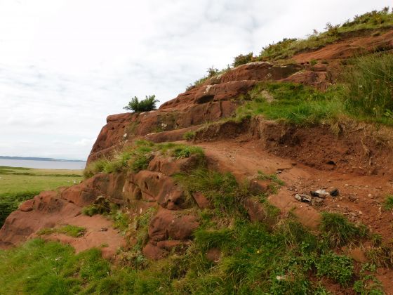 Red Cove (Stone Fort / Dun) — The Modern Antiquarian