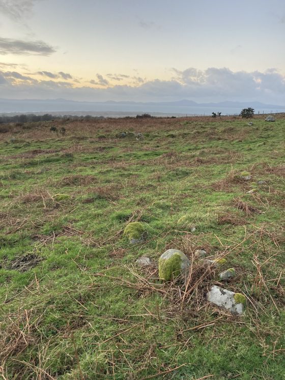Cors y Gedol Enclosure — The Modern Antiquarian