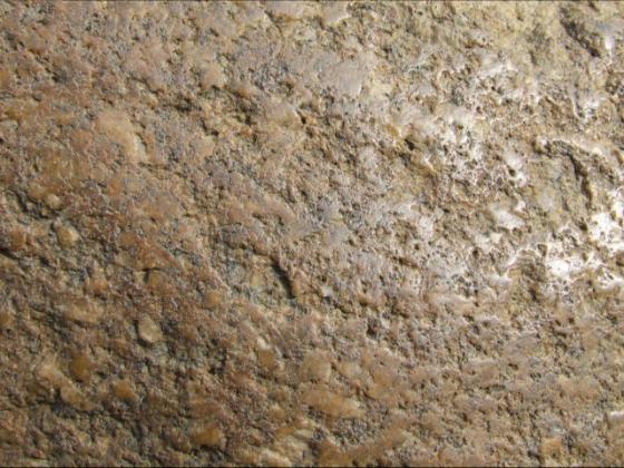 The Judith Stone (Standing Stone / Menhir) — The Modern Antiquarian