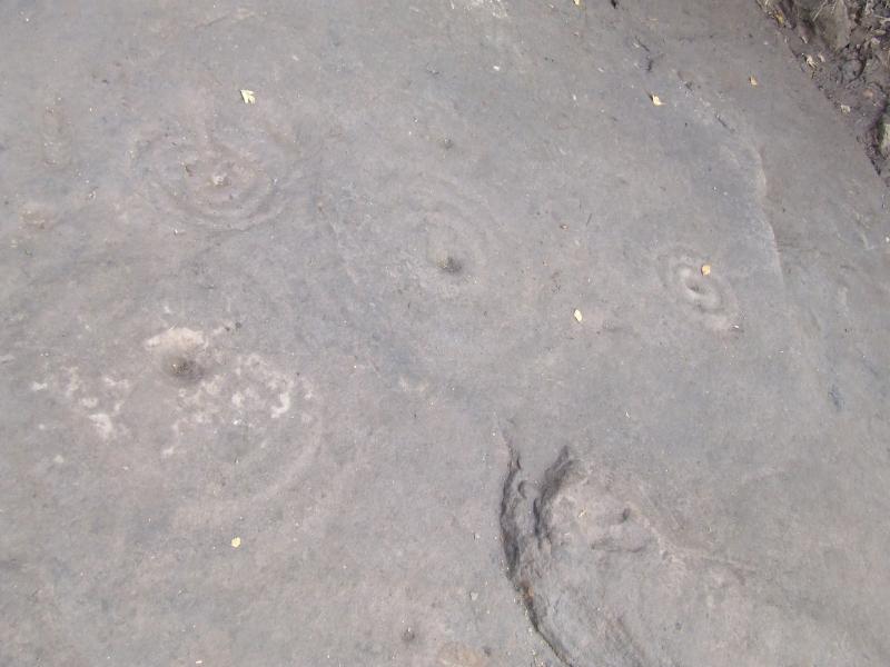 The Cochno Stone (Cup and Ring Marks / Rock Art) — The Modern Antiquarian