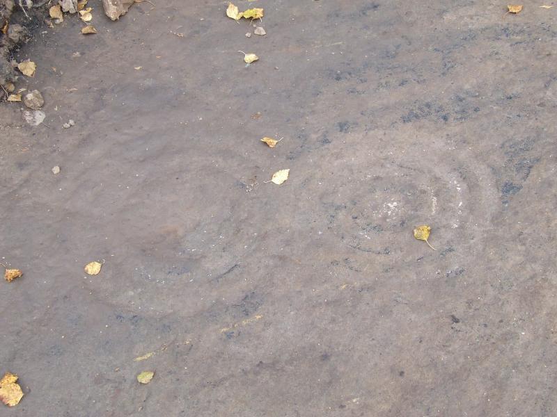 The Cochno Stone (Cup and Ring Marks / Rock Art) — The Modern Antiquarian