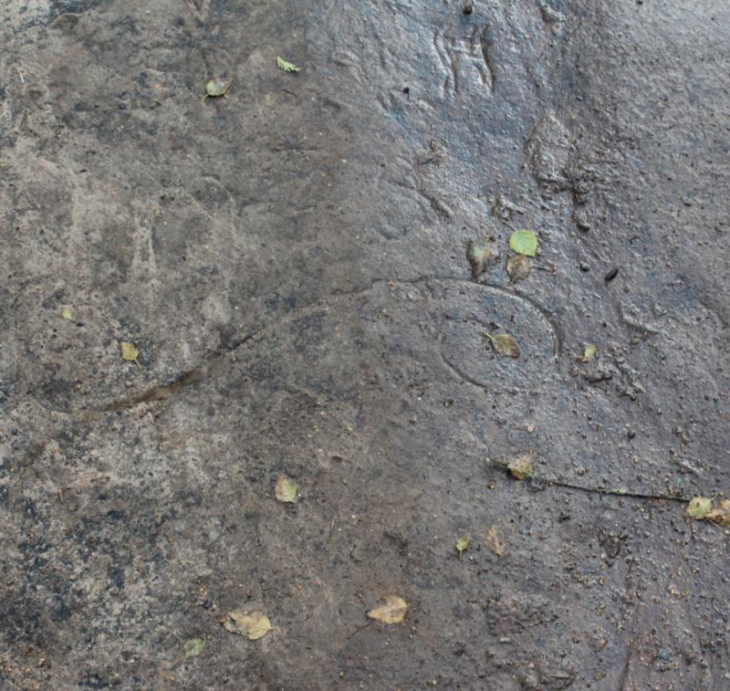 The Cochno Stone (Cup and Ring Marks / Rock Art) — The Modern Antiquarian