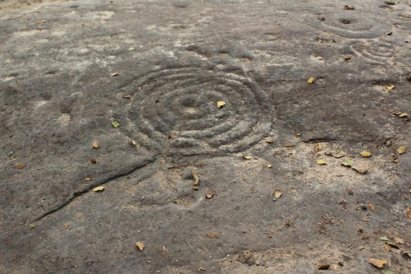 The Cochno Stone (Cup and Ring Marks / Rock Art) — The Modern Antiquarian