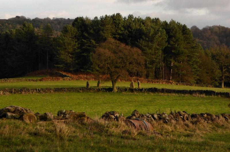 Nine Stones Close (Stone Circle) — The Modern Antiquarian