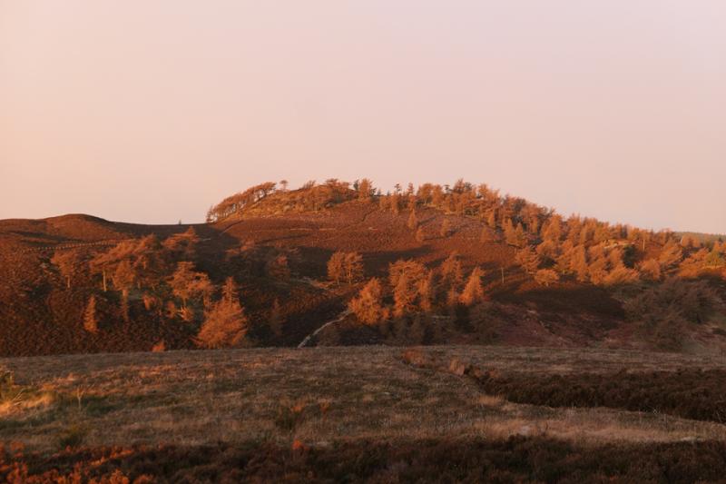 Auchterhouse Hill (Hillfort) — The Modern Antiquarian