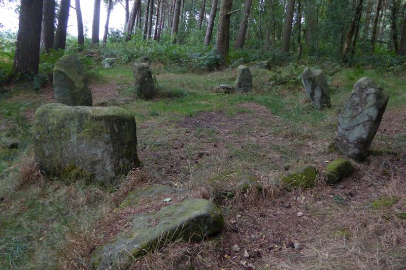 Doll Tor (Stone Circle) — The Modern Antiquarian